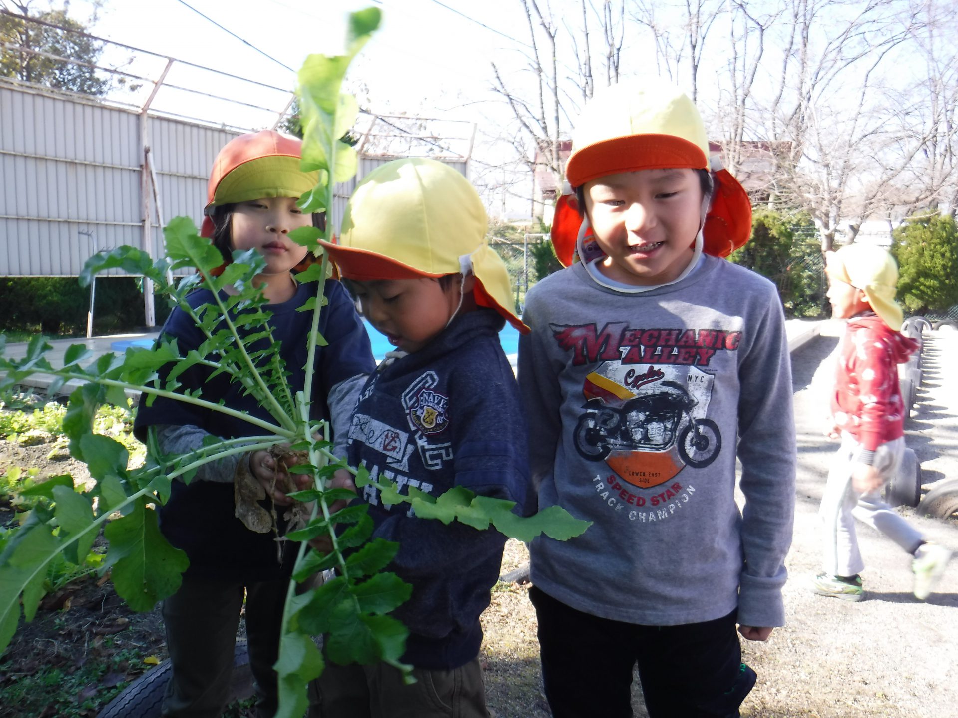 DSCF0532 - 信州やまほいくの郷