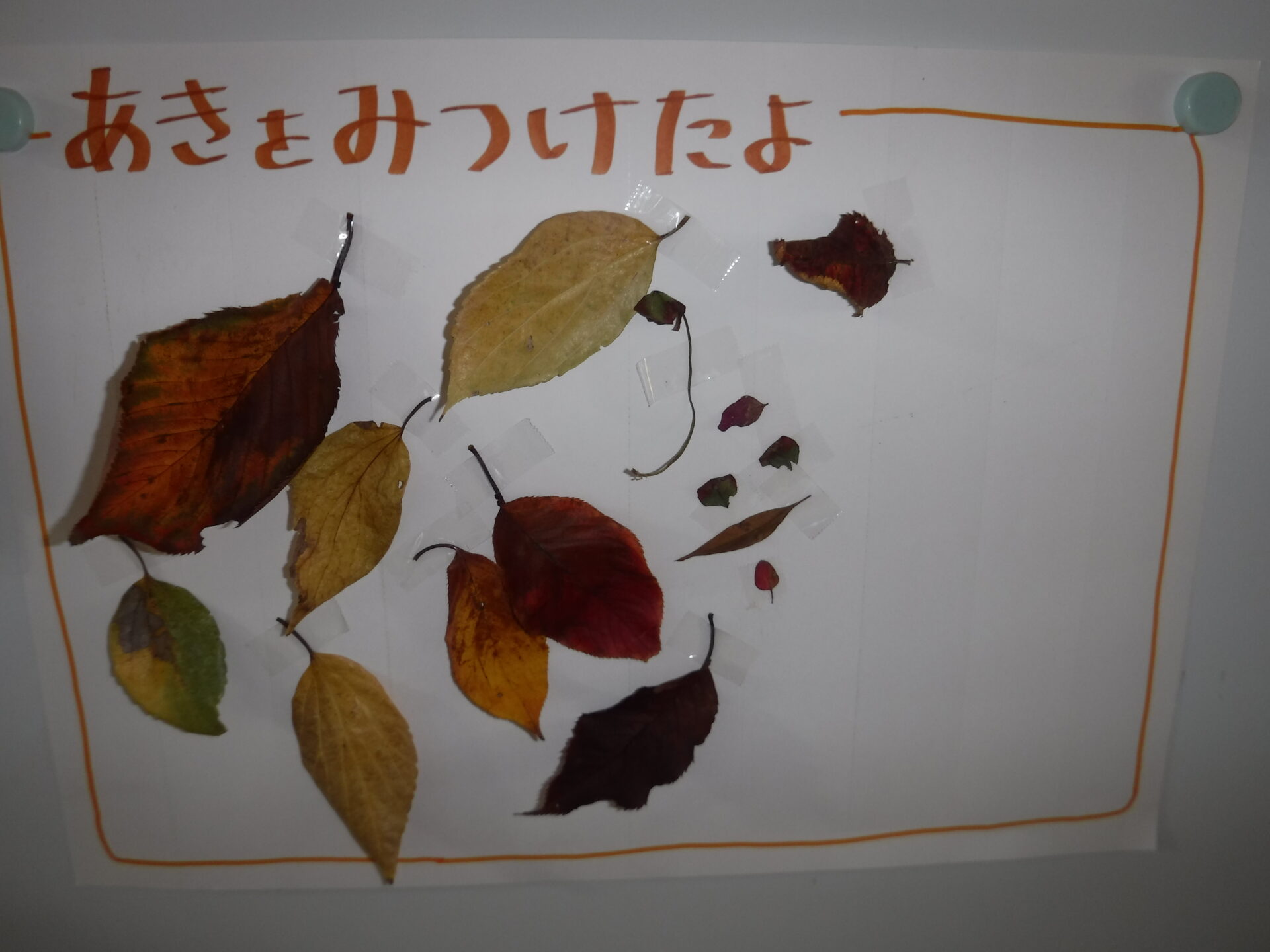 DSCF4380 - 信州やまほいくの郷